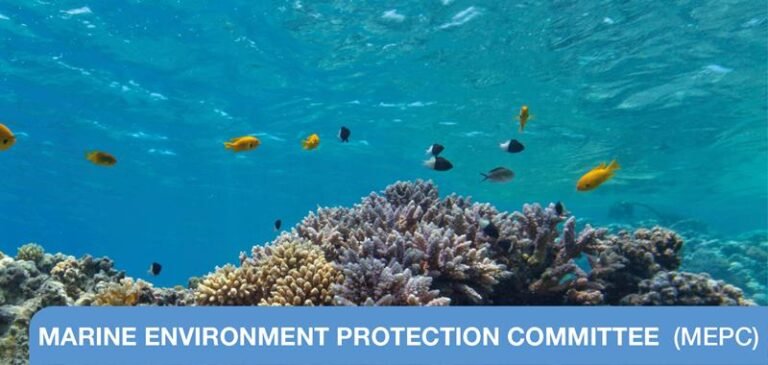 MEPC 80 Unite Maritime Experts and Policymakers on Maritime Challenges