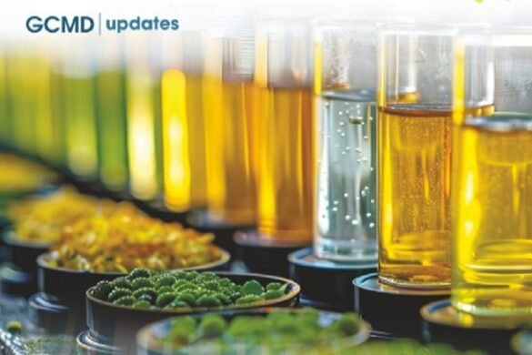 ISO 6583:2024 Released: Methanol as a Fuel for Marine Applications